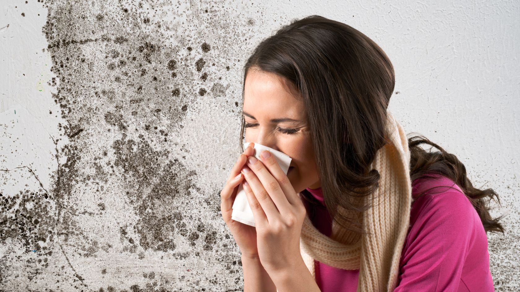 Black Mold and Your Health: Is it Safe to Sleep in a House with Black ...
